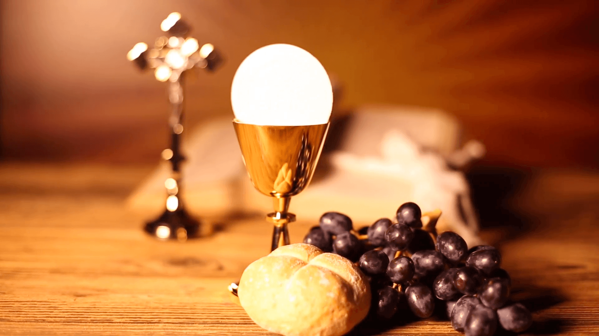 Live Mass · CHURCH OF OUR LADY OF FATIMA